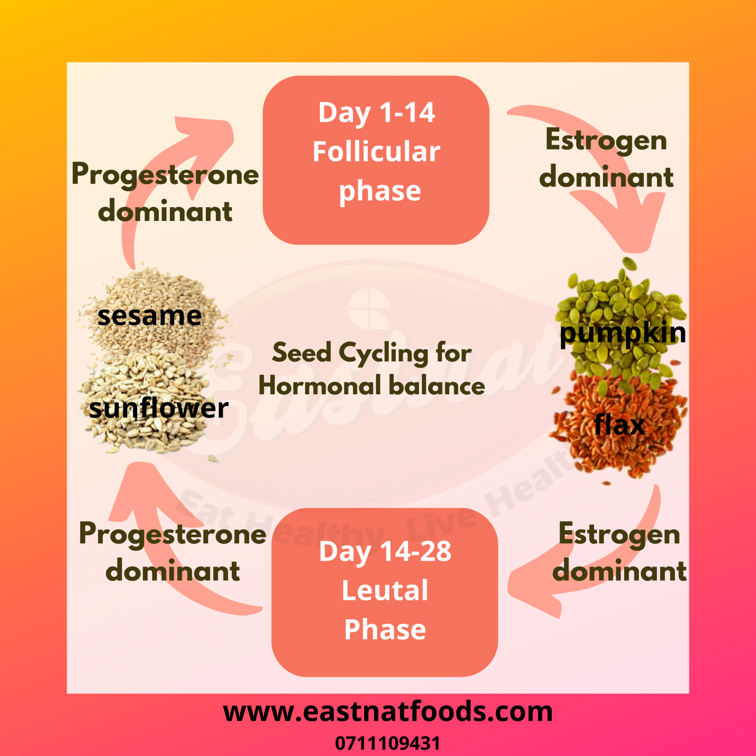 Seed Cycling for Hormonal balance simplified